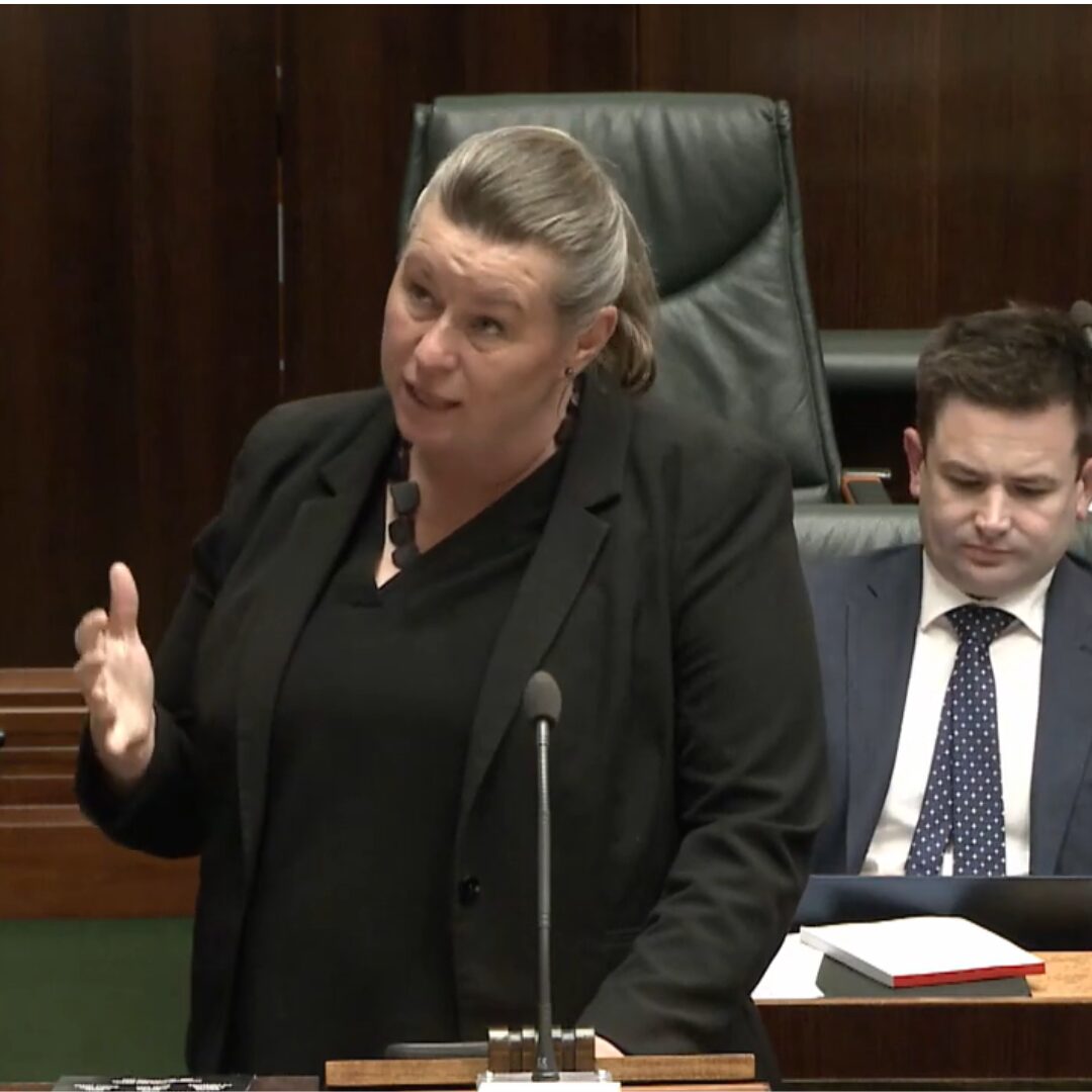 Promising Commitment by Shadow Minister for Health Anita Dow and Member ...